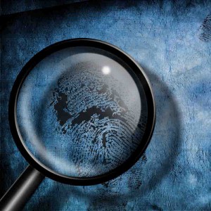 meticulosidad | Plenitud Psicológica